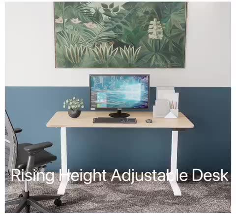 Modern Adjustable Sit To Stand Desk Motorized Rising Computer Laptop ...