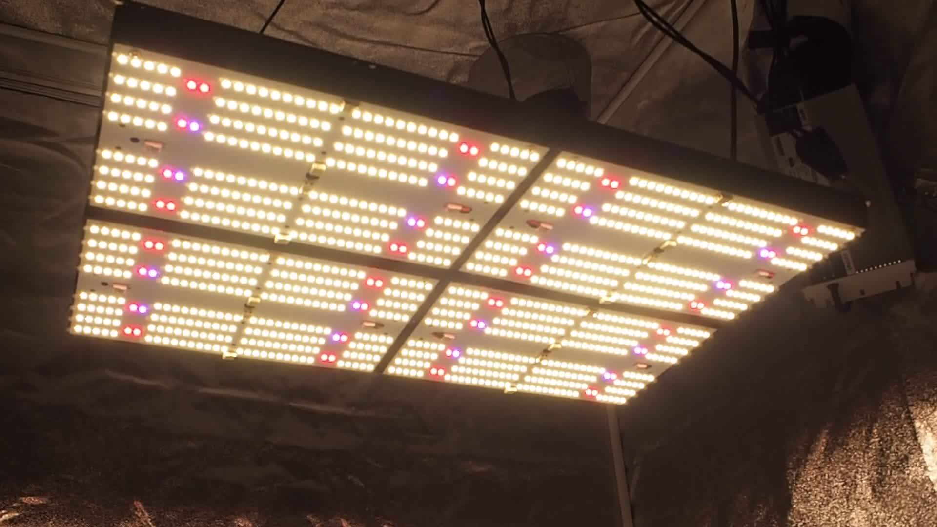 480w Samsung Hlg Qb288 Samsung Quantum Board Led 395nm 660nm Quantum ...