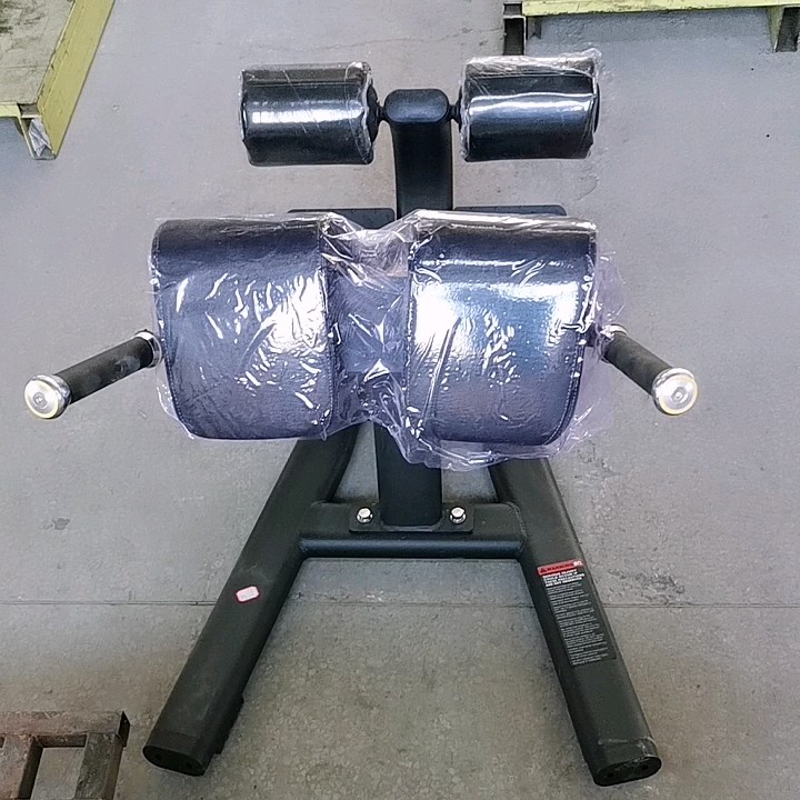 Commercial Horizontal Adjustable Back Extension Roman Chair Racks Bench ...