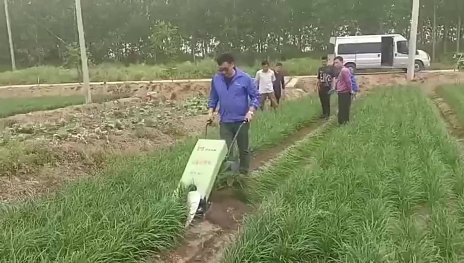 Electric Self Propelled Small Leek Harvester One People Operation ...