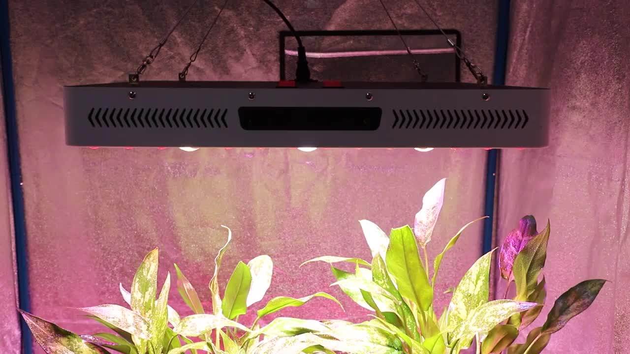 Phlizon 1000w 2000w 3000w Full Spectrum Led Chip Cob Led Grow Light Kit ...