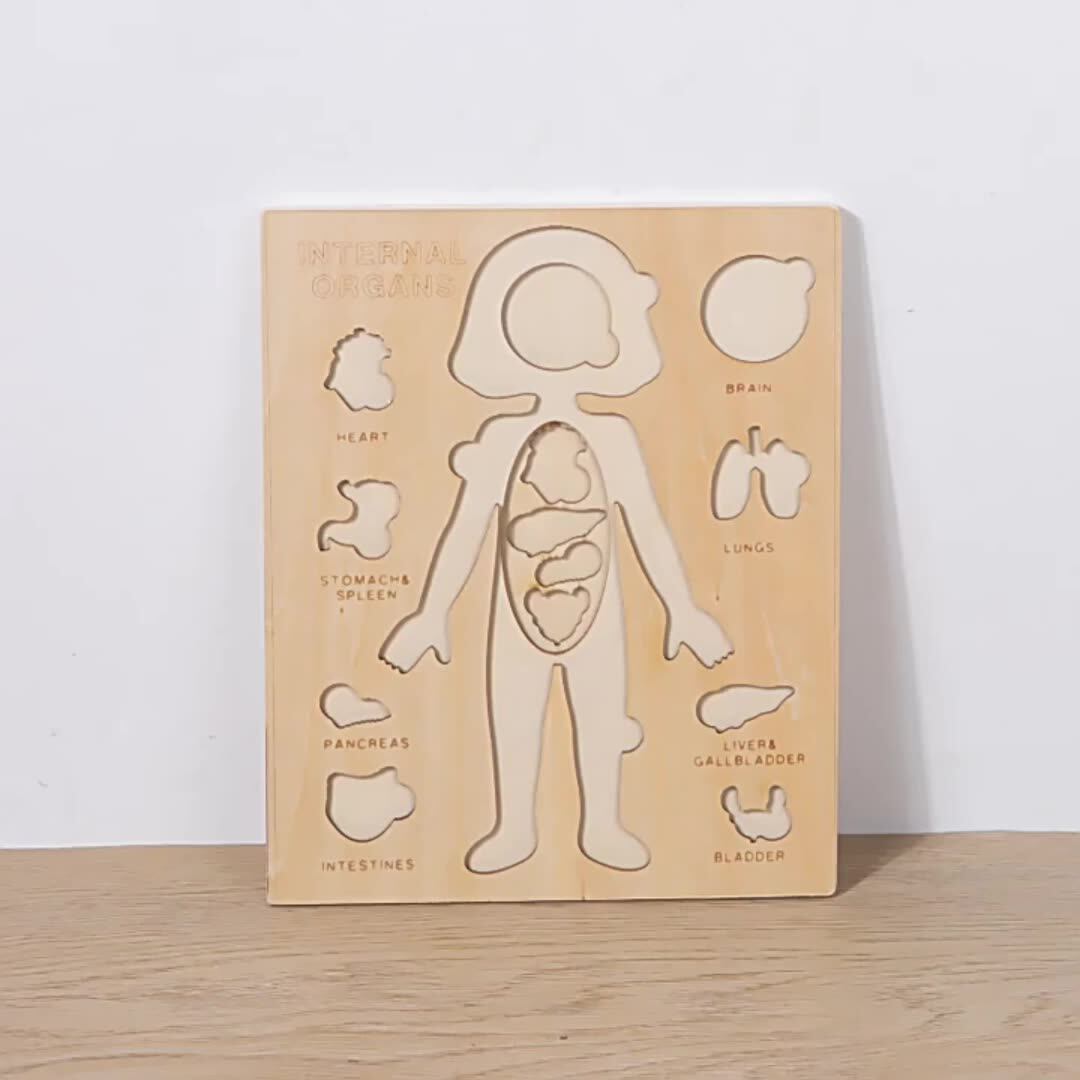Wooden Body Cognitive Board Boy And Girl Body Organ Puzzles Kids ...