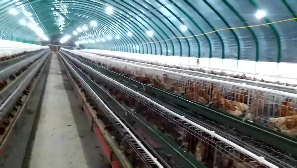 Poultry Equipment For Broiler - Buy Poultry Equipment For Broiler ...