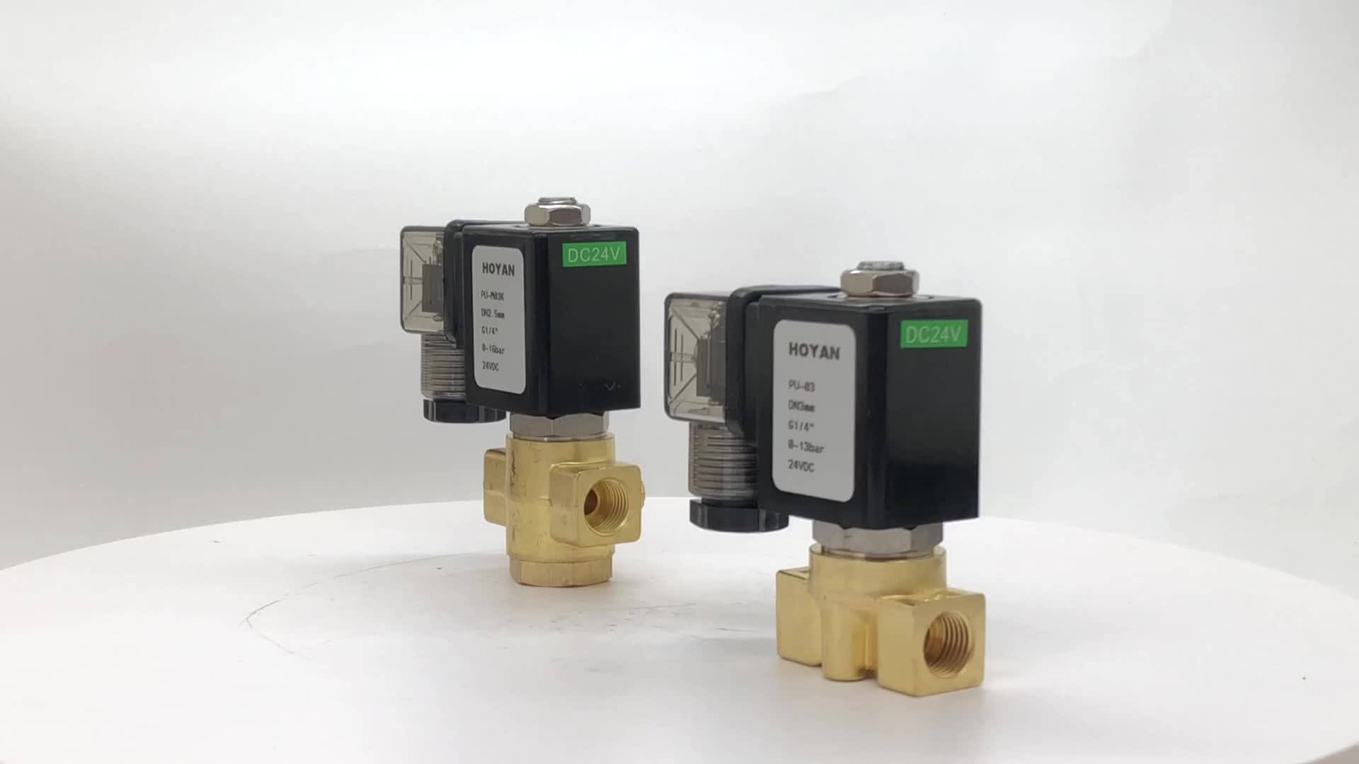 Hoyan Pu-m03 Brass Low Pressure Solenoid Valve Dc12-24v/ac24v-220v ...