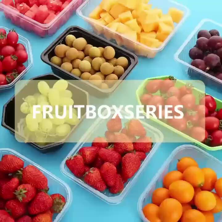 Wholesale Pet Customized Fruit Packing Box Disposable Clear Huge ...