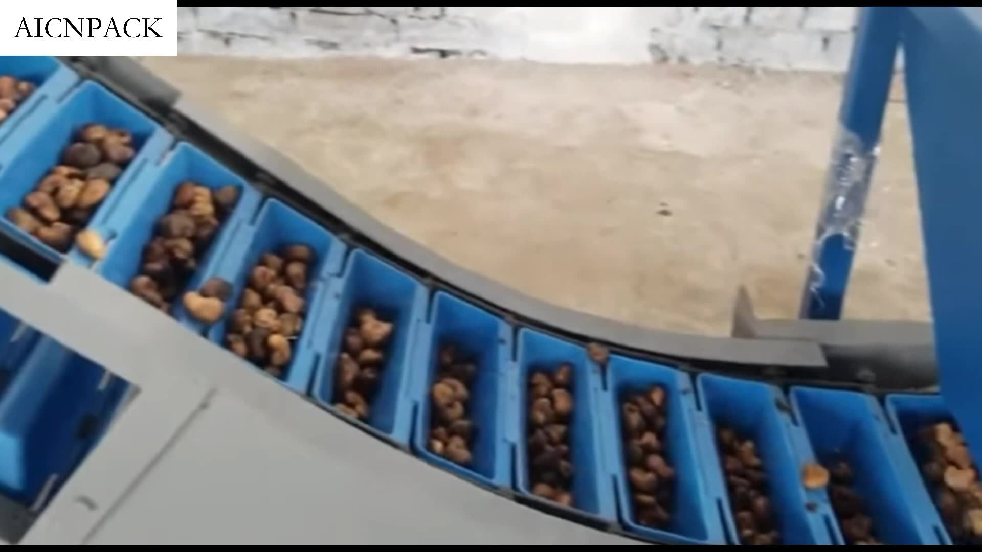 Commercial Cashew Pine Almond Hazelnut Peanut Nuts Cleaning Sorting ...