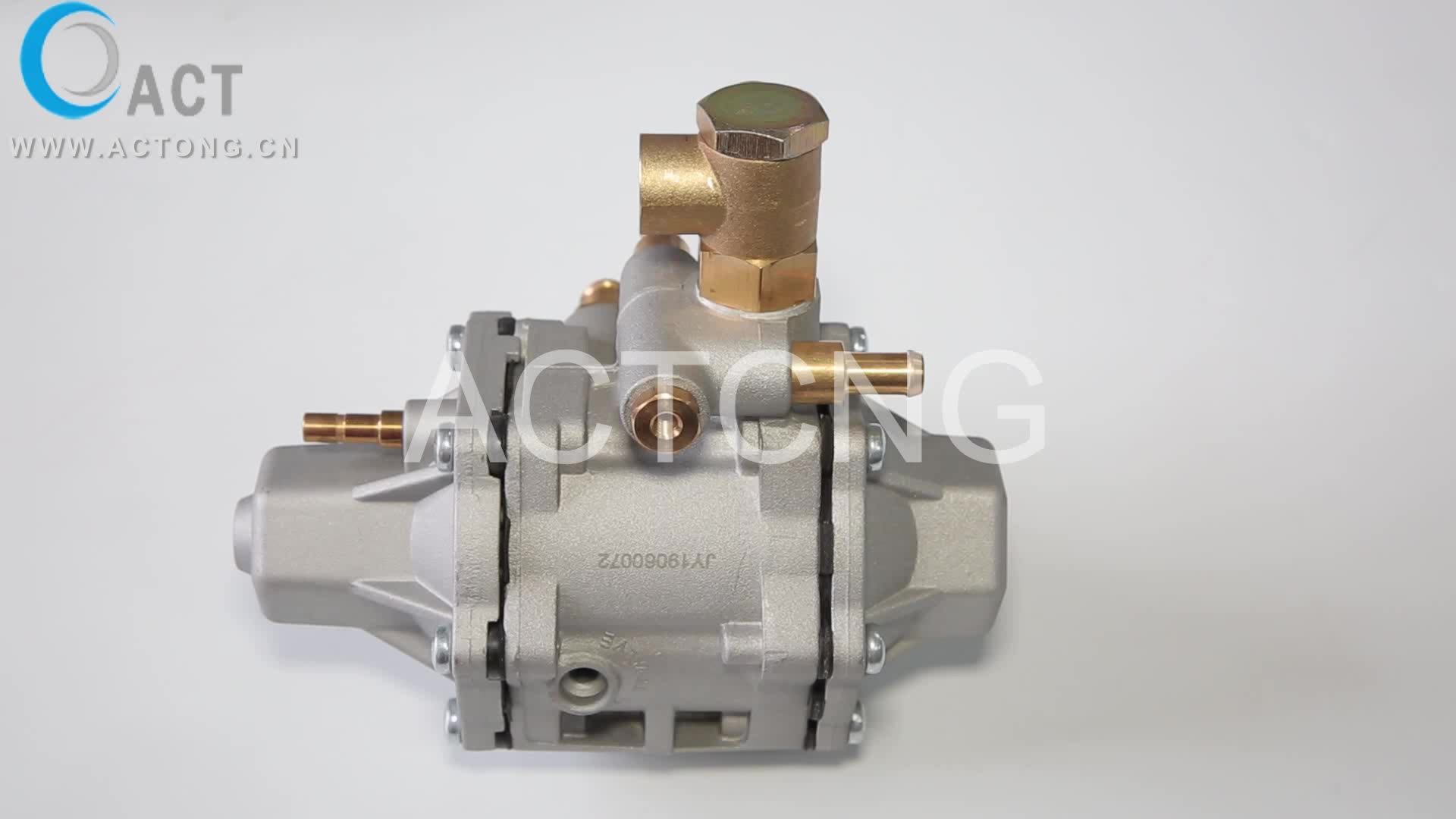 Cng Conversion Kit Parts Repair Kit Cng Reducer At12 Gas Regulator 2 ...