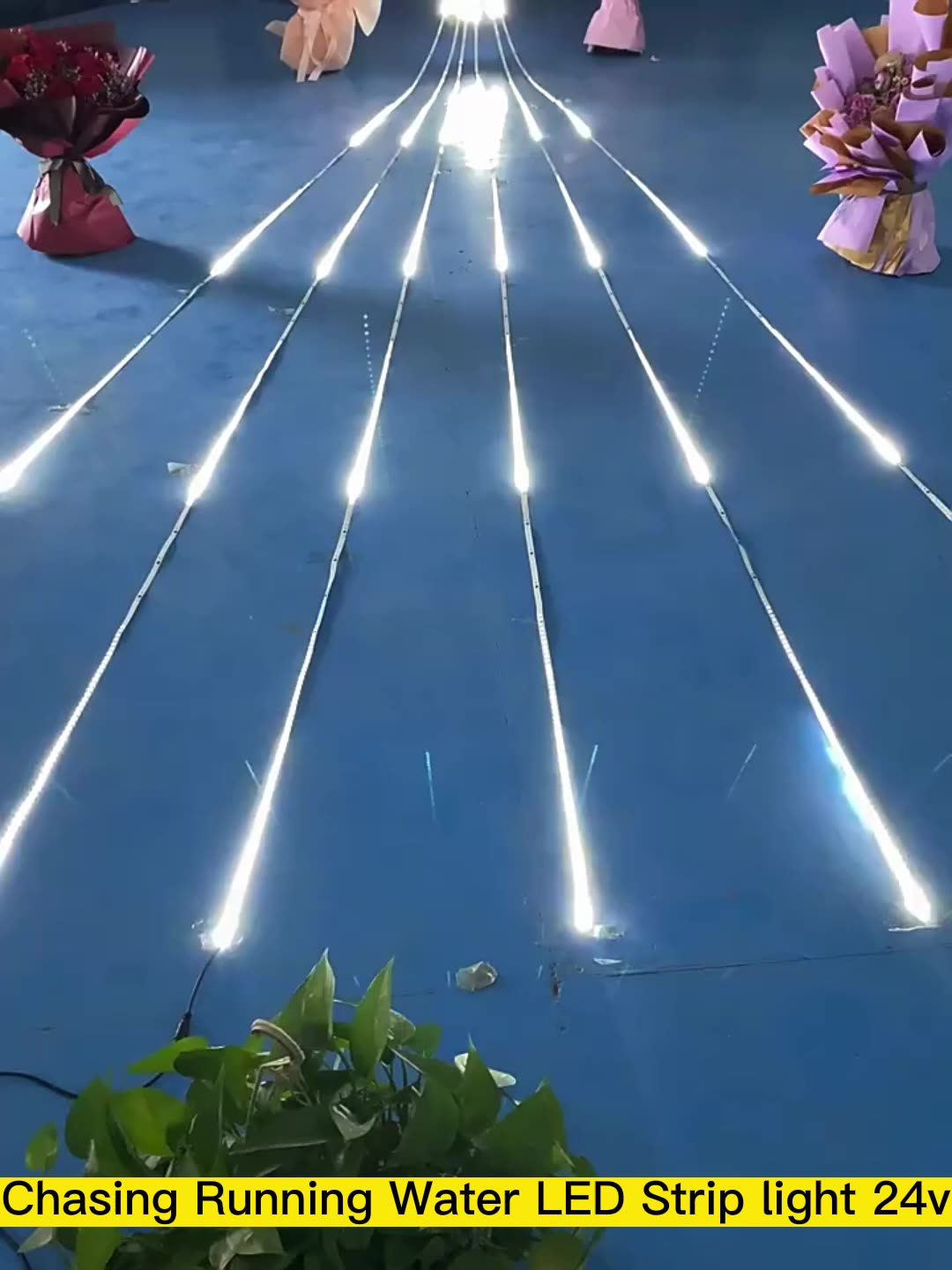 Chasing Light Running Water Flowing Light Led Strips Dc24v Ws2811 Horse Race Led Strip 120leds/m ...