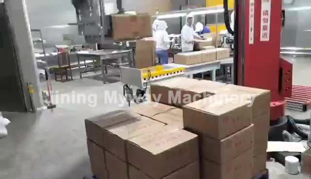 Palletizing Robot Stacking Robot Palletizer For Bags And Carton ...