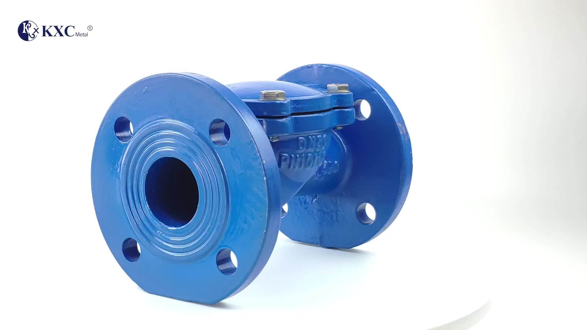 Dn100 Pn16 Asin Cast Iron Flapper Type Check Valve - Buy Swing Check ...