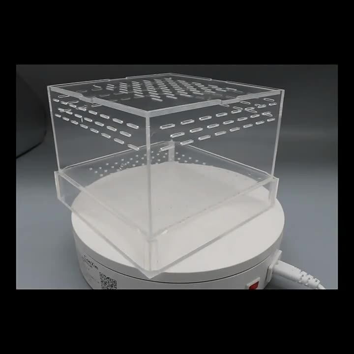 Transparent Acrylic Display Insect Box Breadworm Rearing Box Live Worm ...