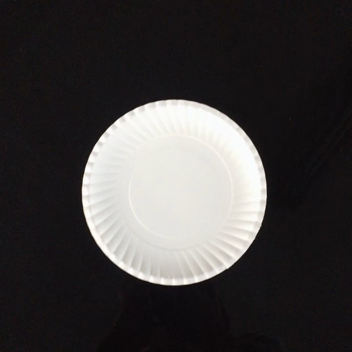 Best Selling Cheap Bulk Dinner Plates 9 Inch Paper Plates For Christmas best-selling-cheap-bulk-dinner-plates-9-inch-paper-plates-for-christmas