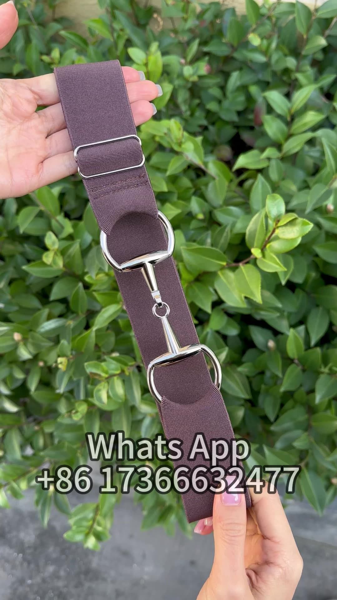 Elastic Equestrian Belts For Women Horseback Riding Fabric 1.5in 2in ...