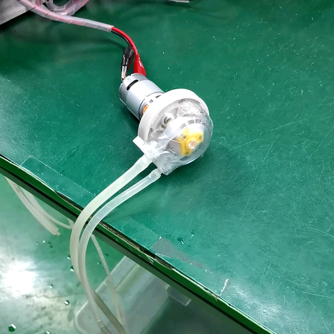 Jihpump Mn2 24v 12v Dc Self Priming Dispenser System Micro Peristaltic Dosing Water Best ...