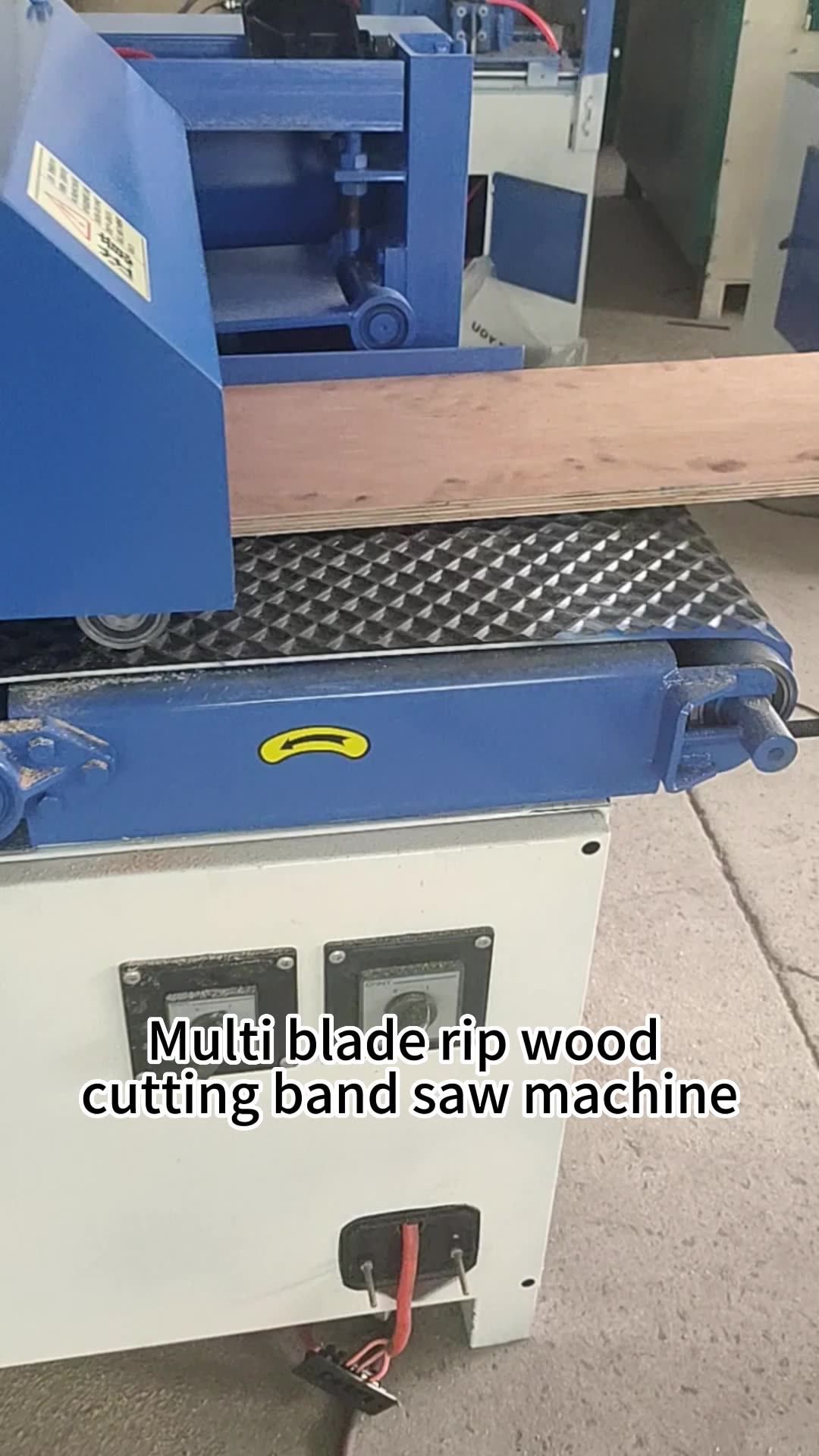 Multi Blade Saw Machine Panel Saw Machine Wood Cutting Horizontal Wood ...