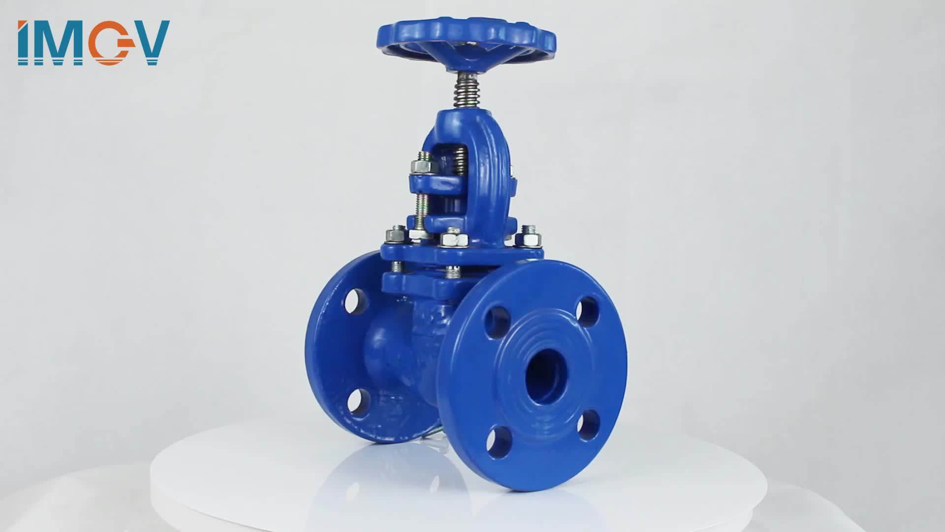 Tianjin Cast Iron Steam Bellow Seal Water Control Valve Globe Valve ...