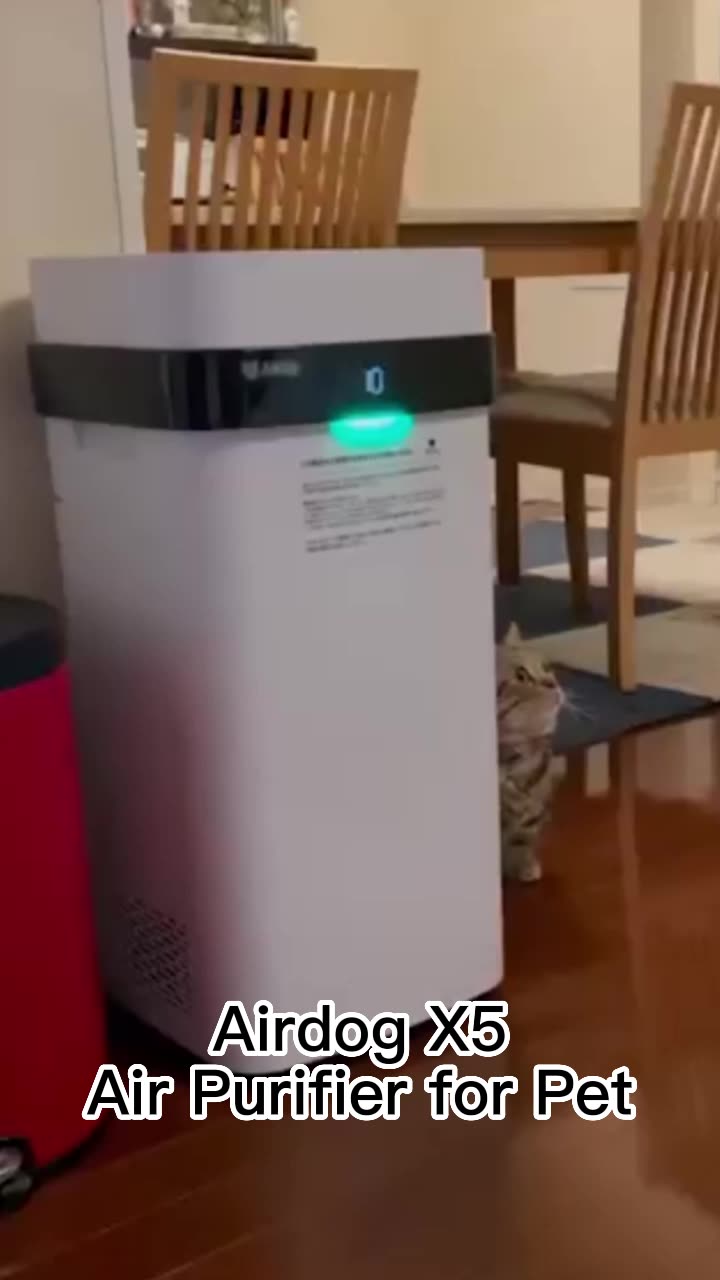 Airdog Patent Etl Certificated Air Cleaning Home Air Purifier For Pet Care - Buy Air Purifier At ...