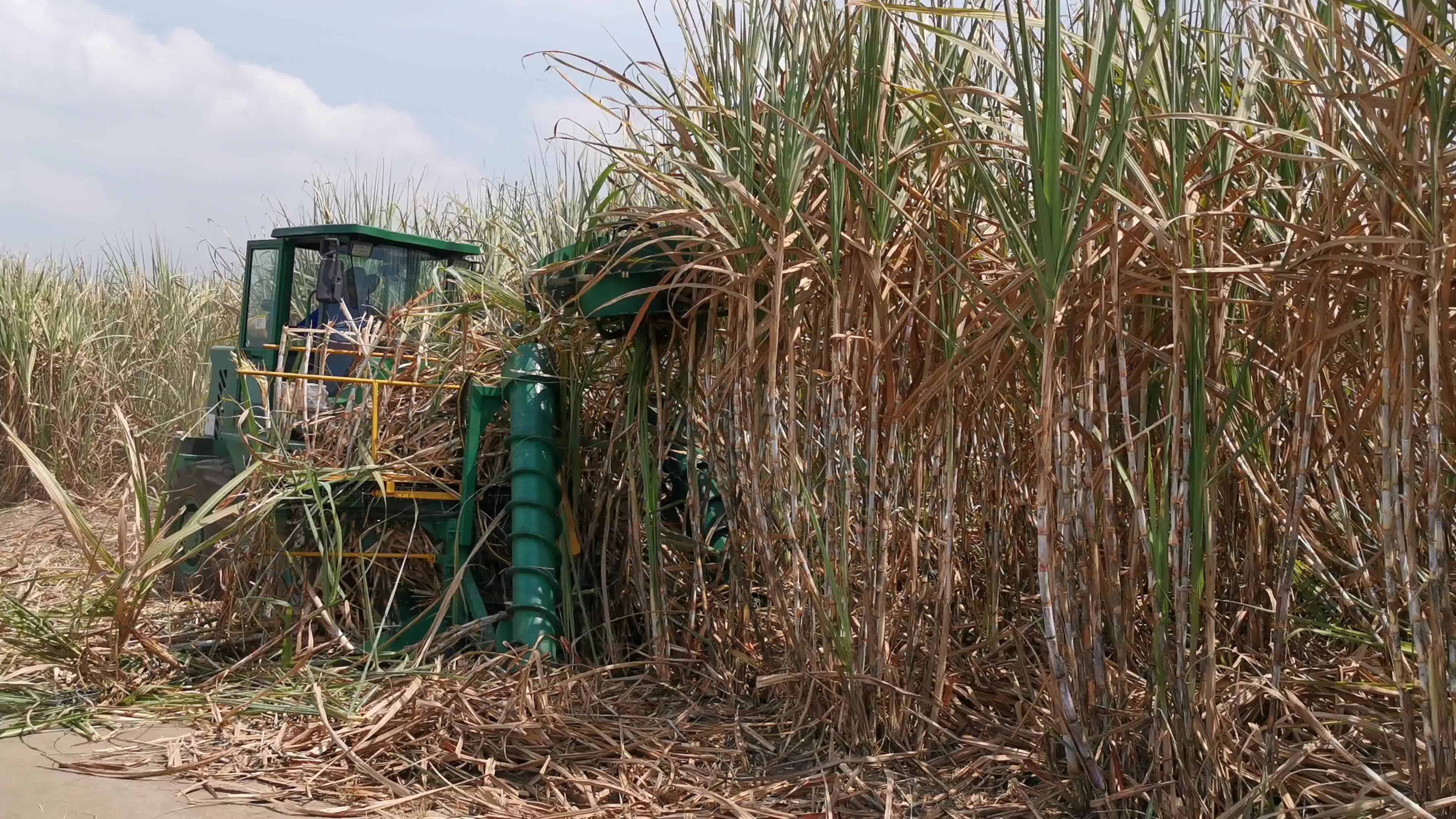 2018 Hot Sell Product Whole Stalk Small Sugarcane Harvester / Sugarcane ...