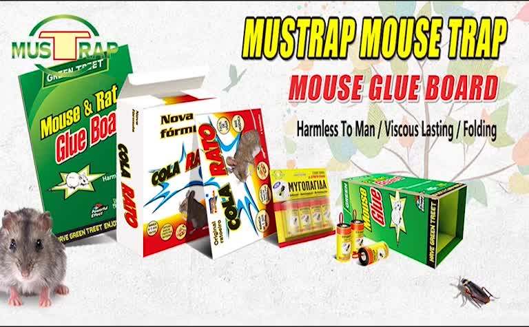 Easy Powerful Strong Adhesive Sticky Mice Paper Humane Rodent Capture ...