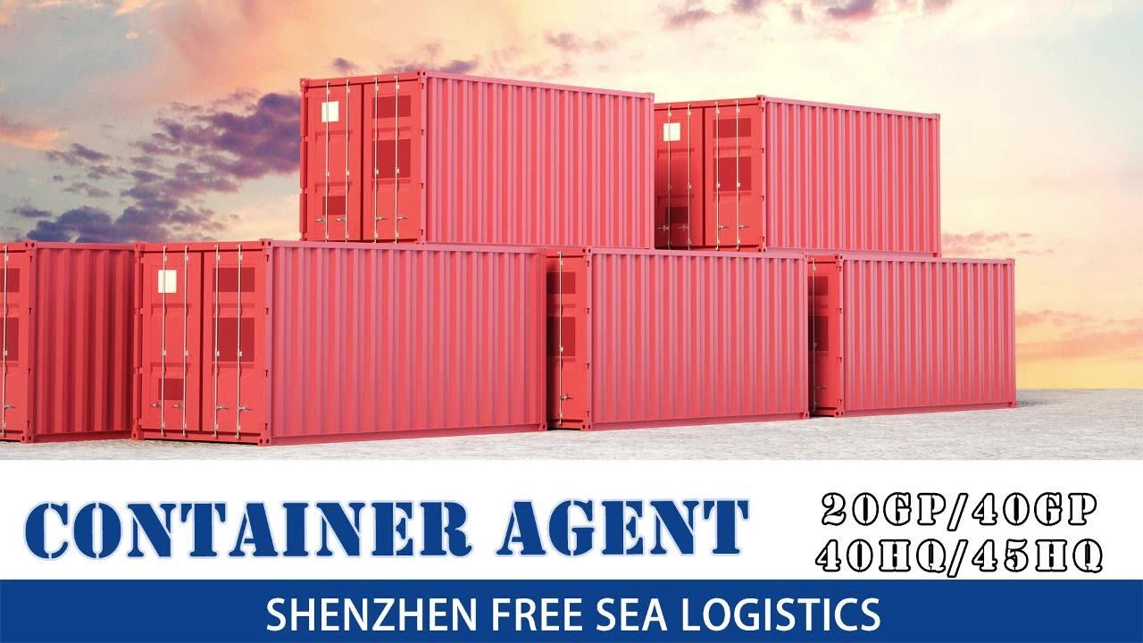Free Sea 20ft 40ft Used Container Sea Shipping Container From Freight ...