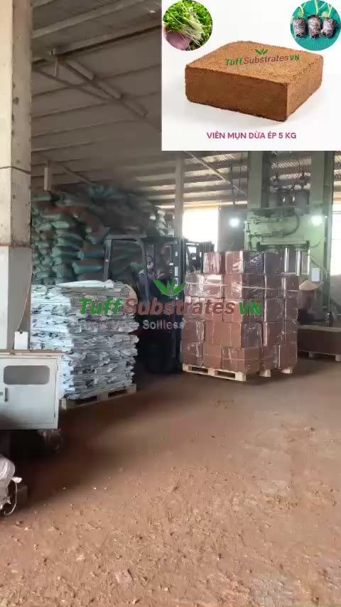 Washed Cocopeat 5kg Compression Coco Pith Organic Cocopeat Peatmoss 5kg ...