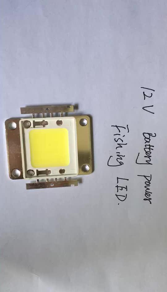 2000k Dc 12v 30 W Led Hunting Light Led Chip Battery Powered - Buy ...