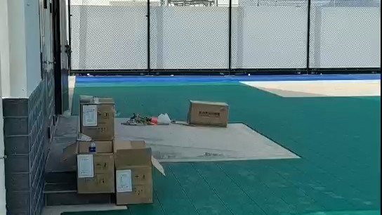 Portable Interlocking System Custom Backyard Pp Plastic Material Used ...