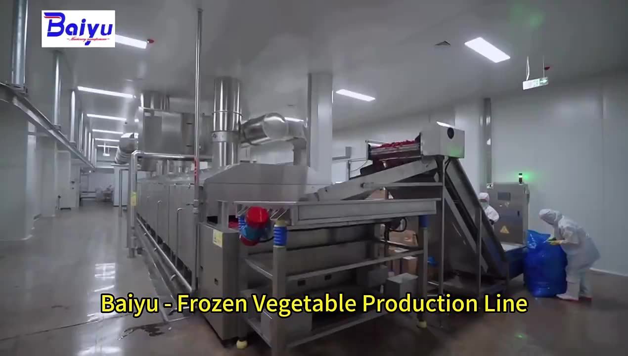 Baiyu Blast Freezer Tunnel French Fries Quick Freezing Machine ...