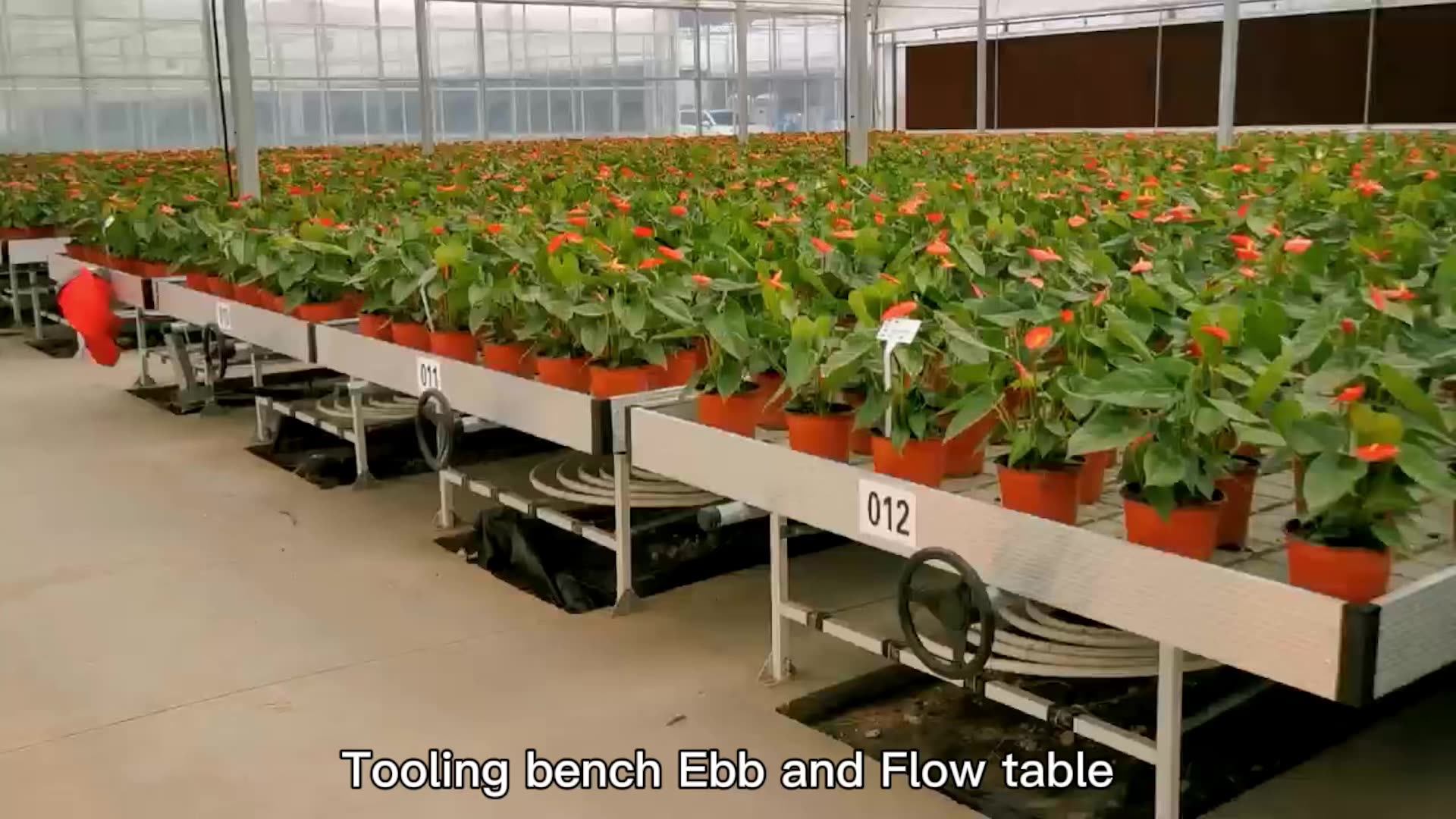 Myxl Greenhouse Grow Table 4x4 Flood Trays Ebb Flow Tables Trays Ebb ...