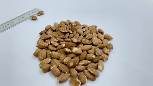 Original Original Granular Plump Shelled Almonds Apricot/almond Nuts ...
