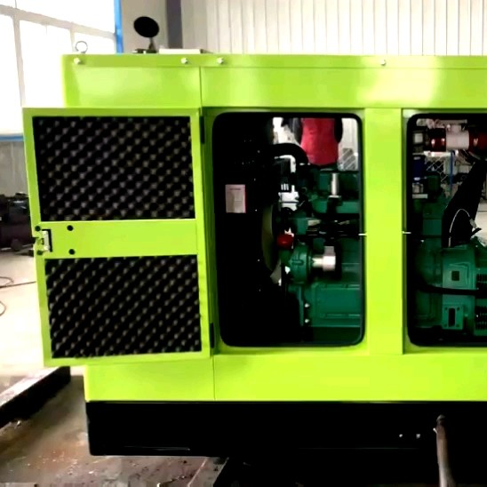 Green Power Liquid Cooled Ac Three Phase 400v 230v 380v Biogas 15kw ...