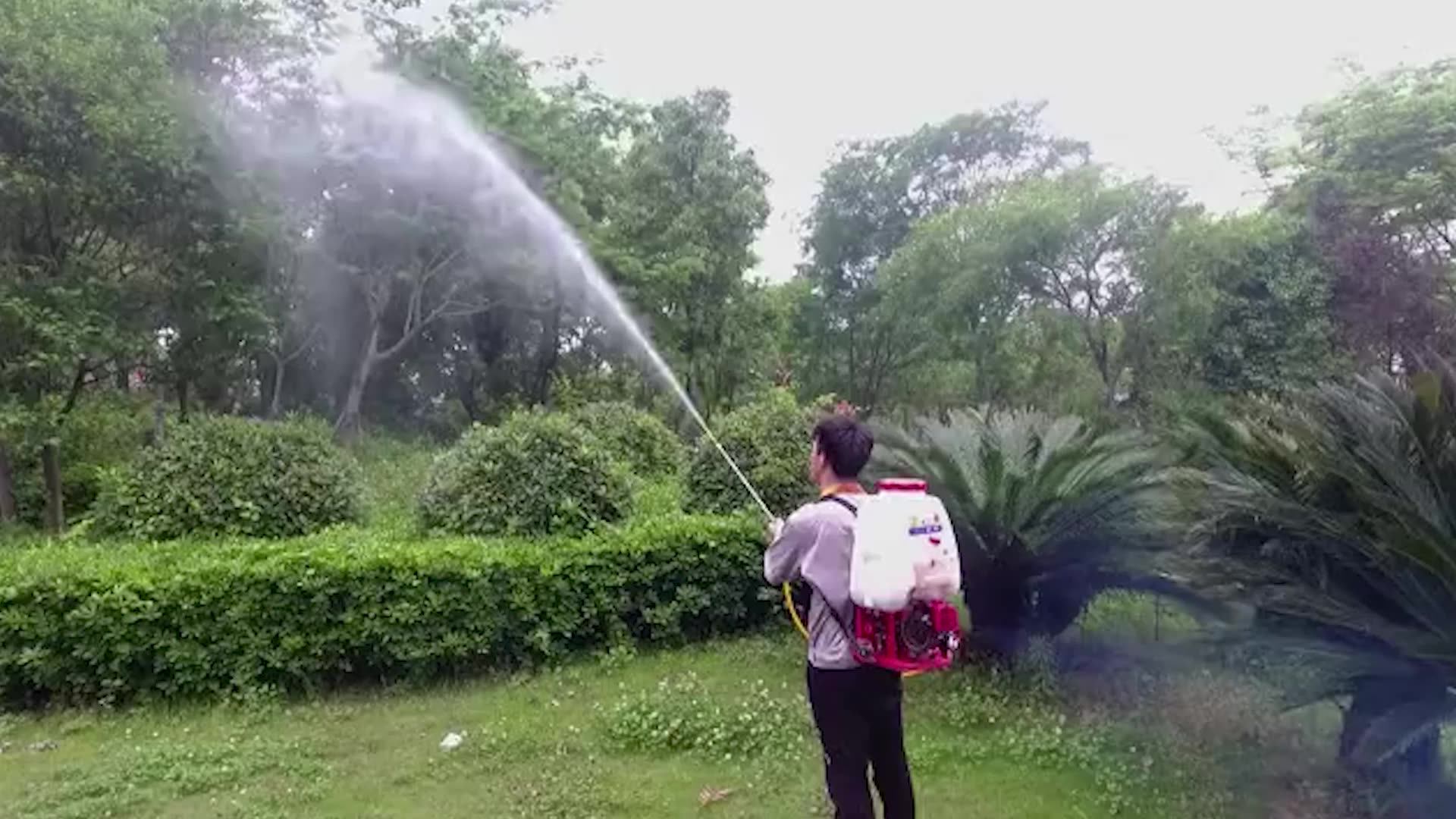 800 Big Capacity 25 Liters 2 Stroke Engine Agriculture Power Sprayer ...