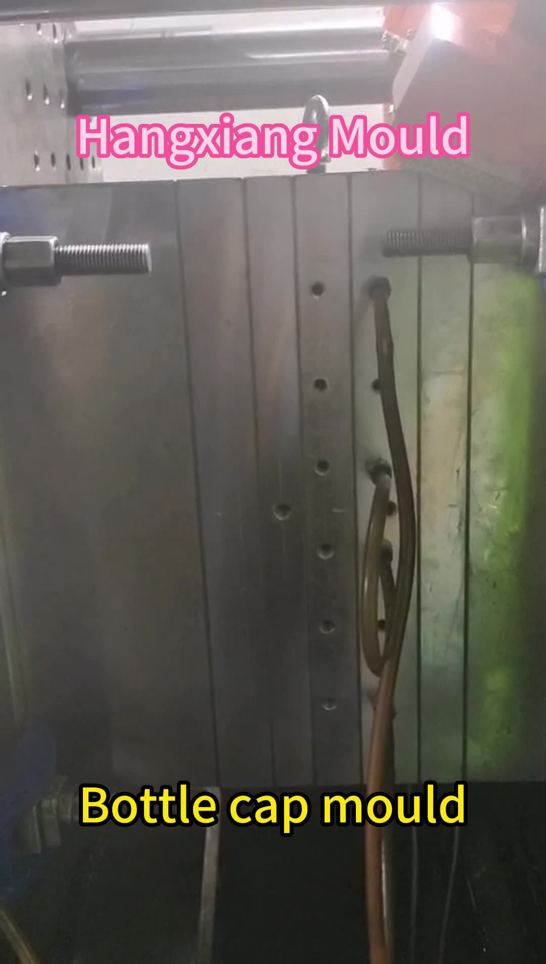 12 Cavity Bottle Cap Mould Pp Pe Mould Flip Top Bottle Cover Mold For ...