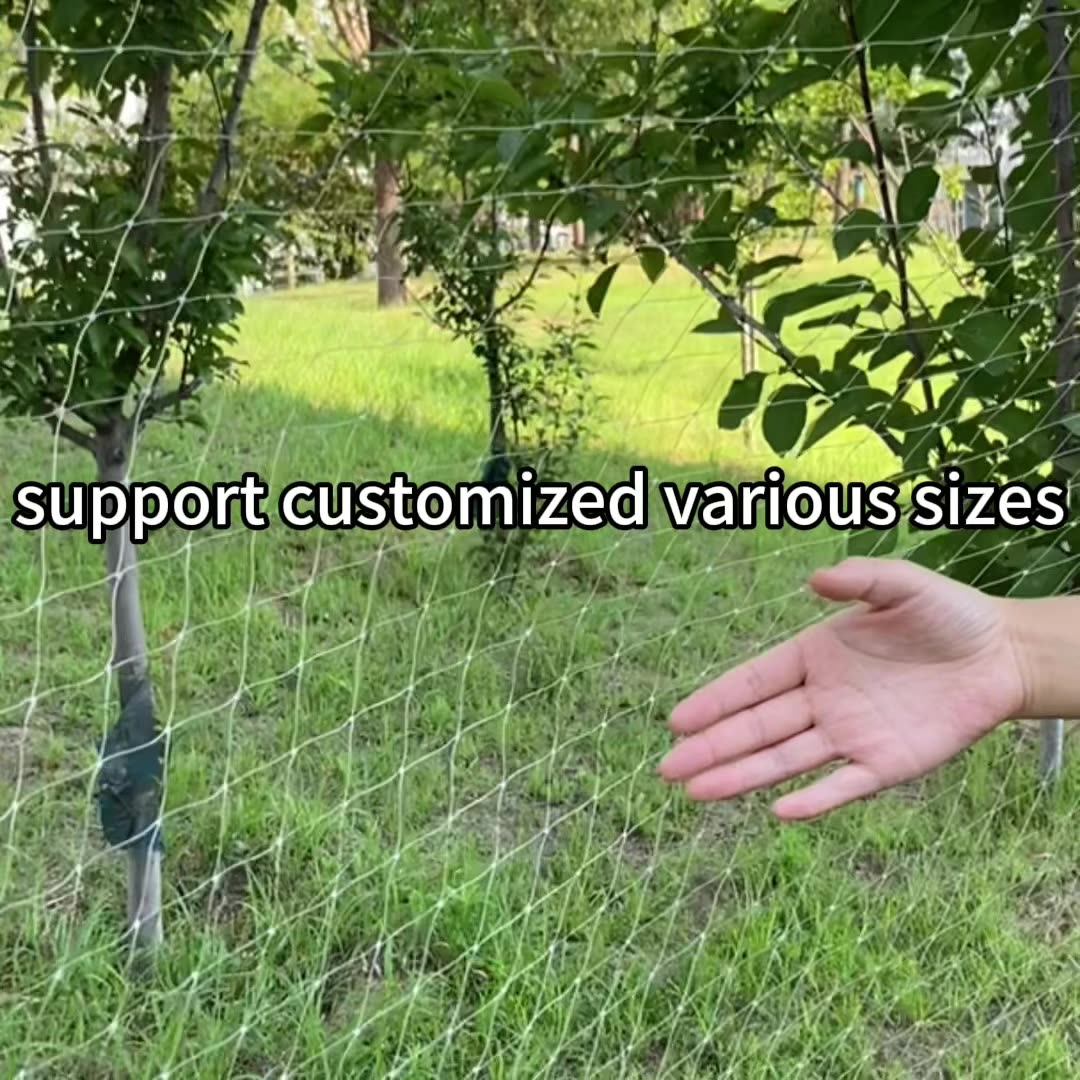 3*6m Balcony Cat Safety Net Invisible Transparent 3*3cm Nylon Knotted ...