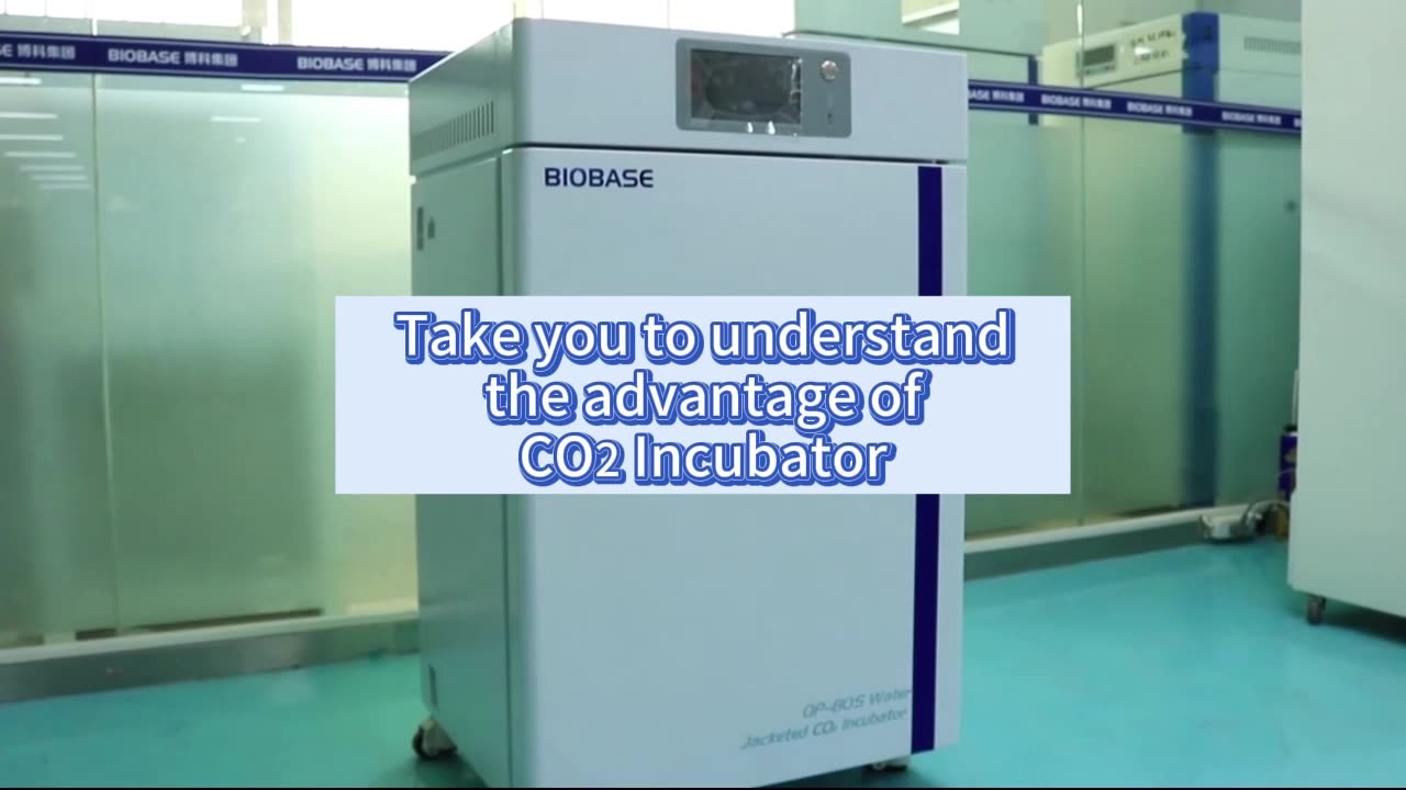 Biobase Co2 Incubator Bjpx-c50 High Quality Gas Filter Microcomputer Controller Co2 Incubator ...