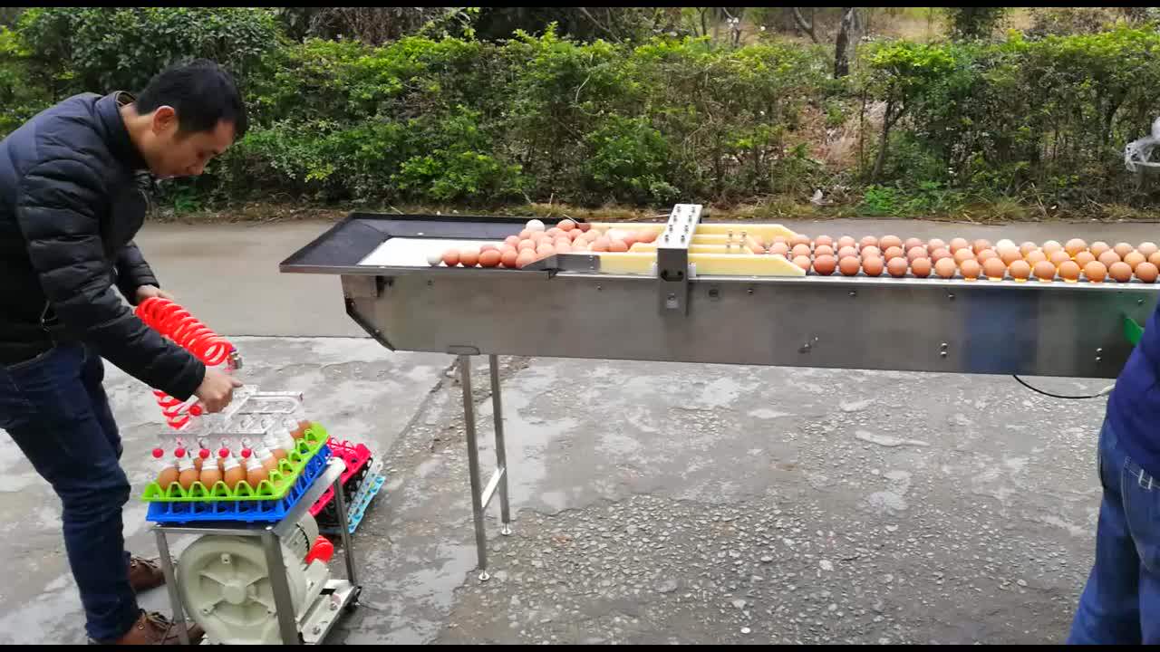 5400 Pieces Of Egg Grader Per Hour Chicken Egg Grading Machine With ...