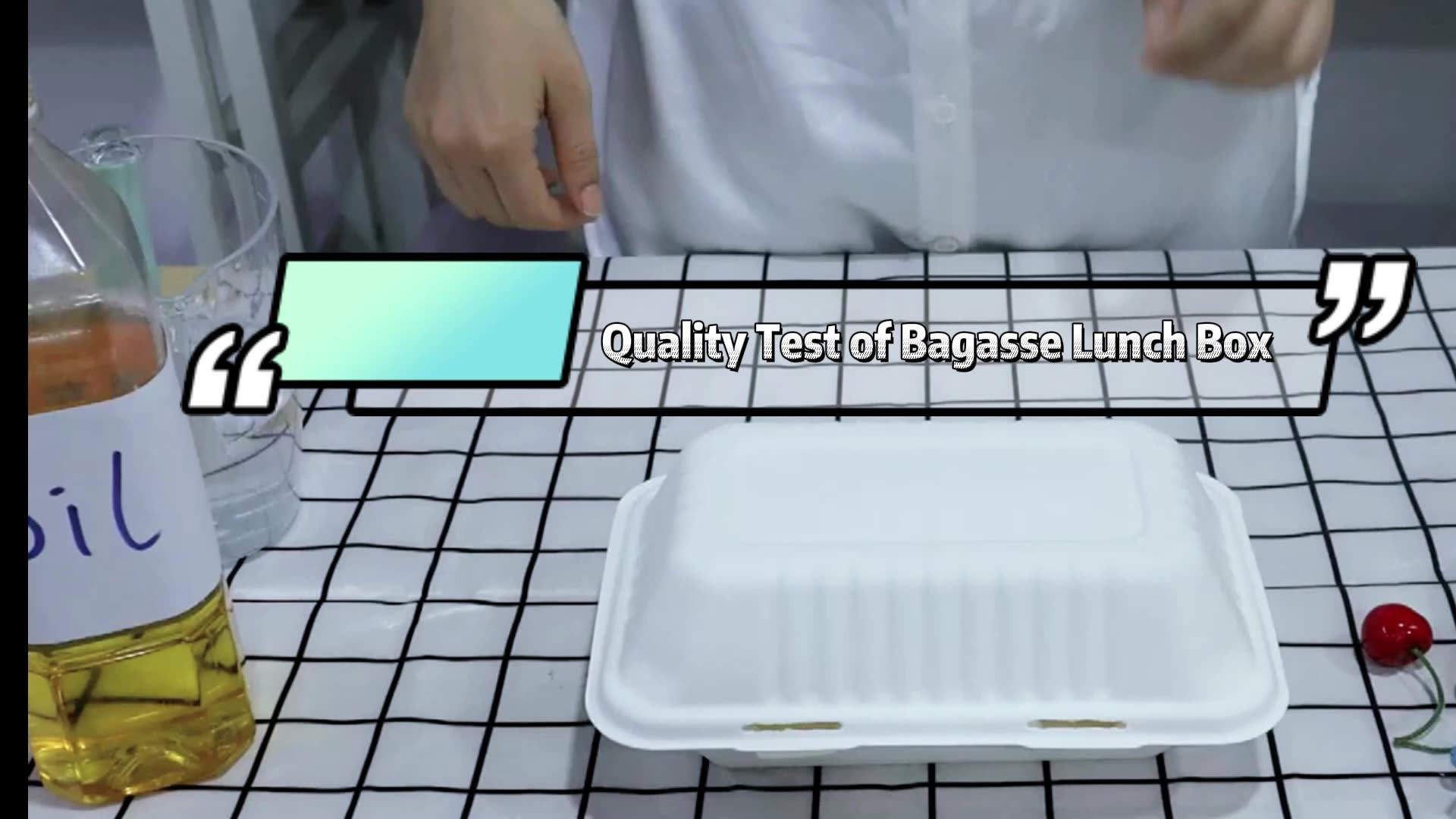 Sugarcane Bagasse Compostable Rectangular Hinged Clamshell Take Out ...