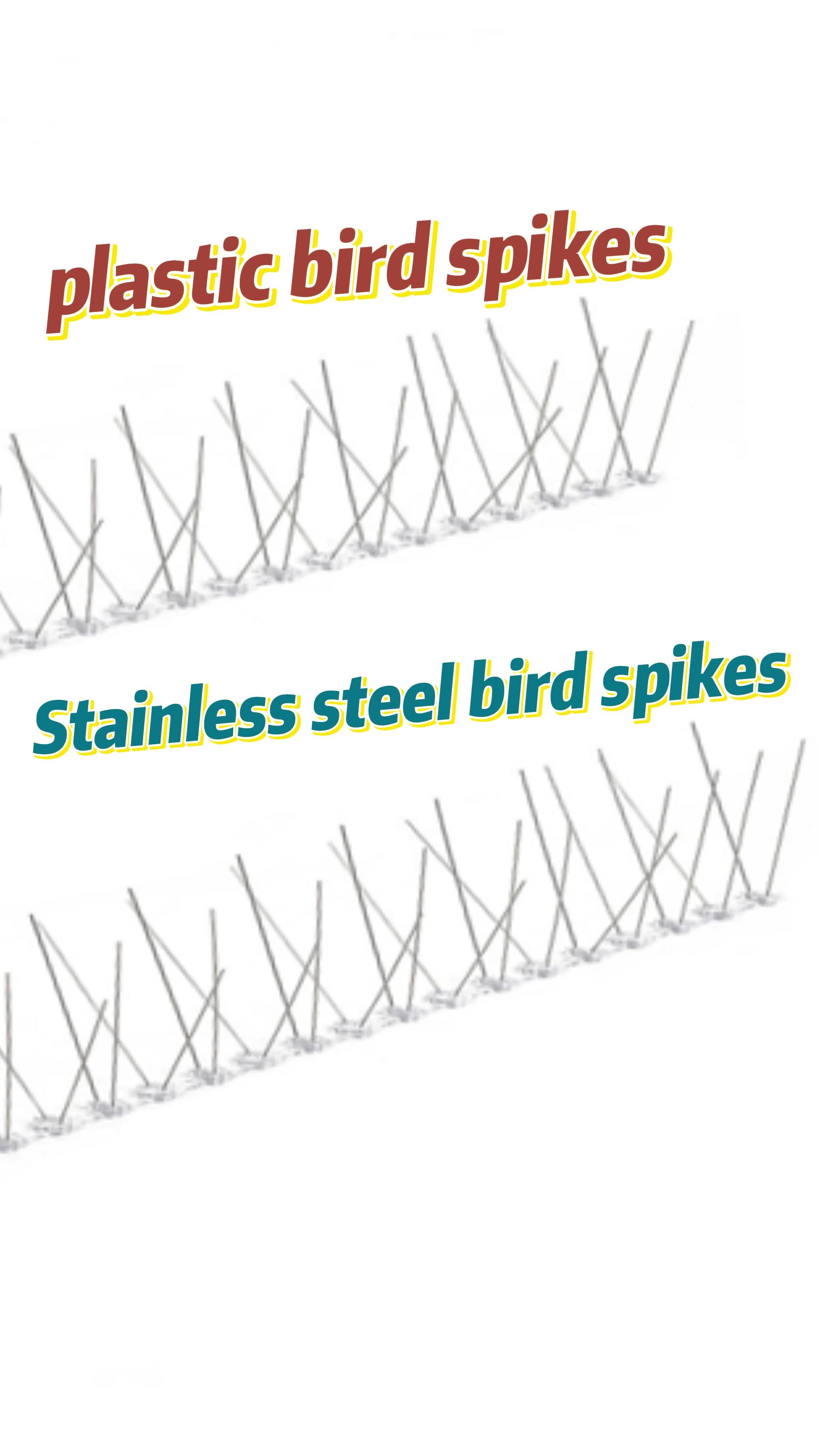 Bird Spike Anti Bird Pigeons Spike In Pest Control With Flexible Base Stainless Steel Spike 100% ...