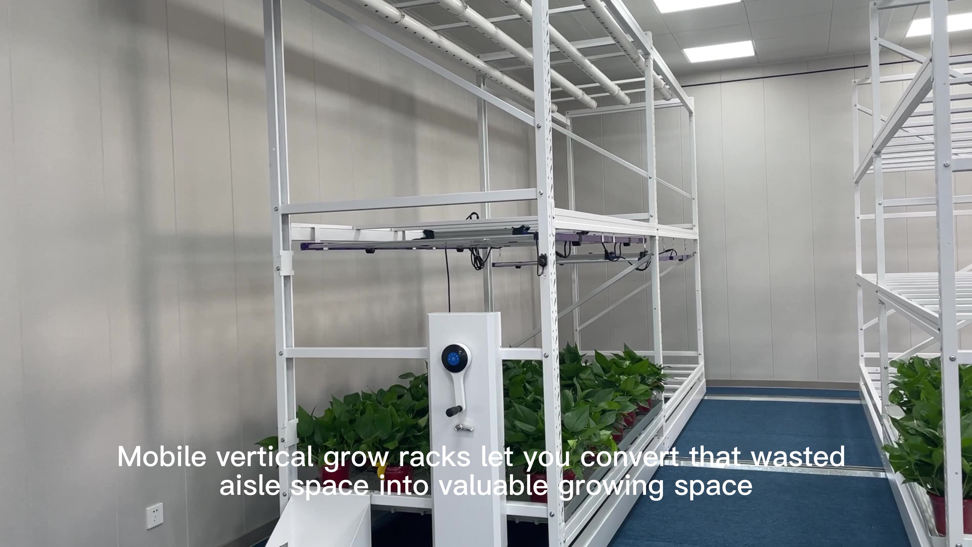 Dual Layer Hydroponic Vertical Grow Rack Large Steel Vertical Growing ...