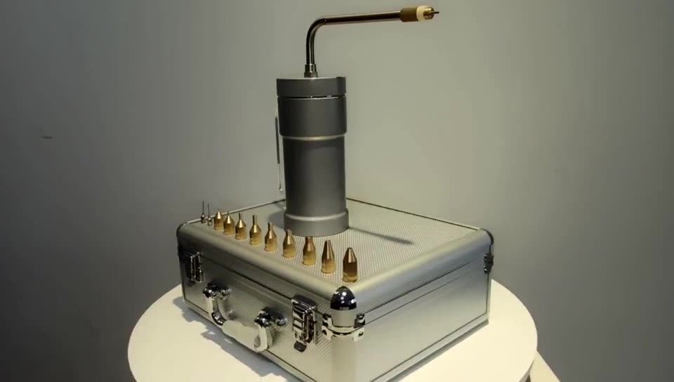 200ml Mini Cryo Gun Liquid Nitrogen Sprayer Price - Buy 200ml Mini Cryo ...
