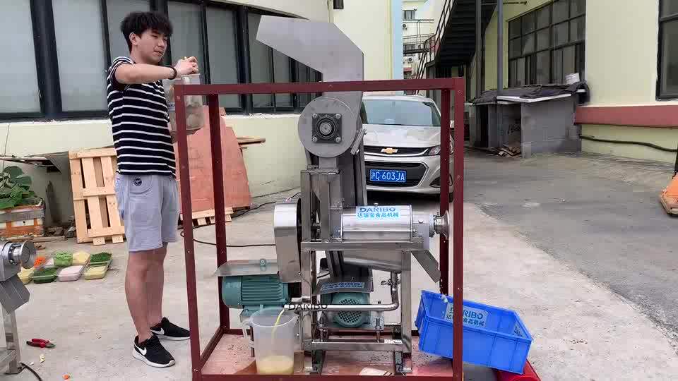 300-500kg/h Industrial Fruit Pressing Juicer Apple Pineapple Squeezing ...