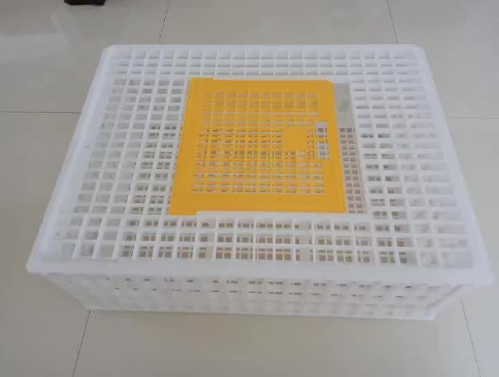 Plastic Chicken Shipping Box Chick Transport Boxes For Poultry Shipping ...
