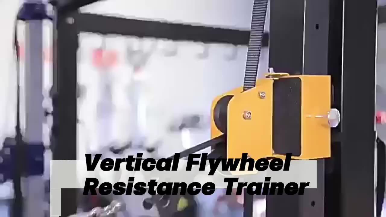 Wholesale Multifunctional Vertical Flywheel Resistance Trainer ...
