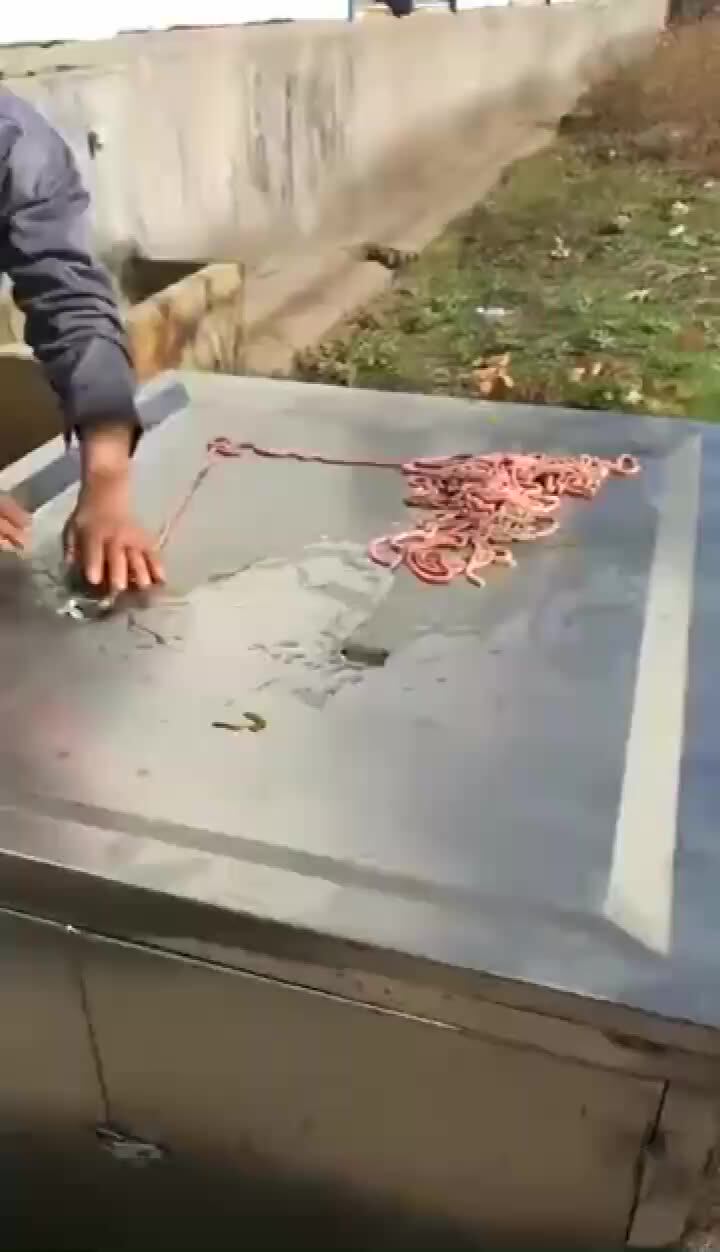 Automation Small Intestine Cut Open Intestine Cleaning Washing Machine ...