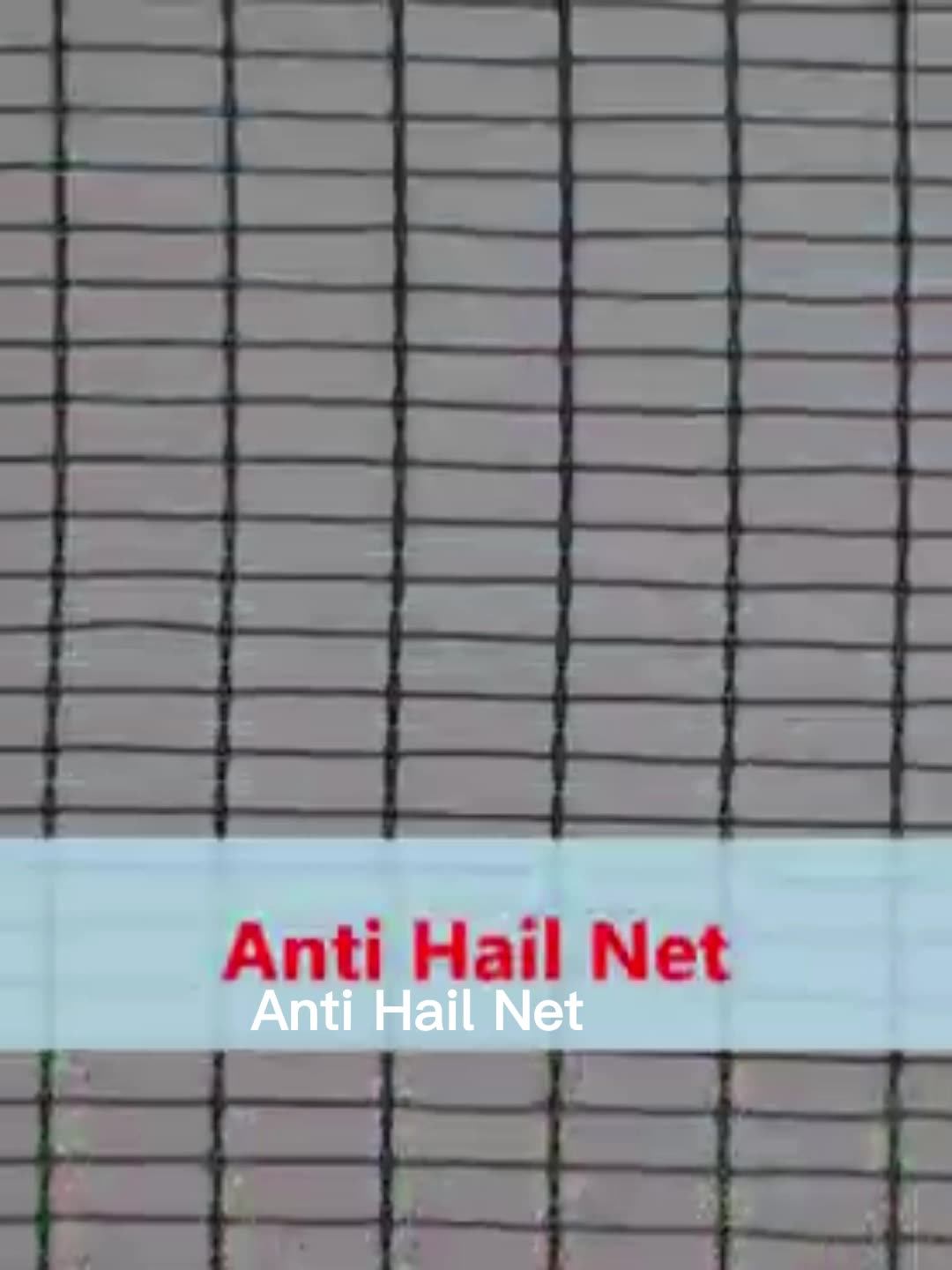 Agricultural Hdpe Plastic Anti Hail Mesh Net Black Hail Proof Net Anti ...