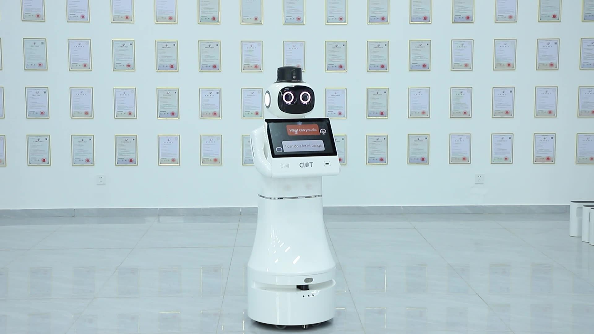 Ciot Humanoide Voice Consultation Artificial Intelligence Security ...