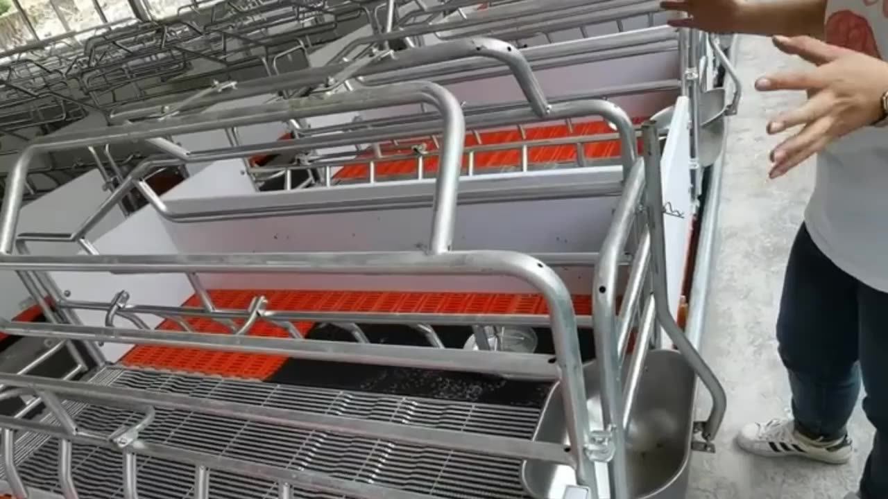 Sow Farrowing Bed Easy Moving Portable Piggery Farm Equipment ...