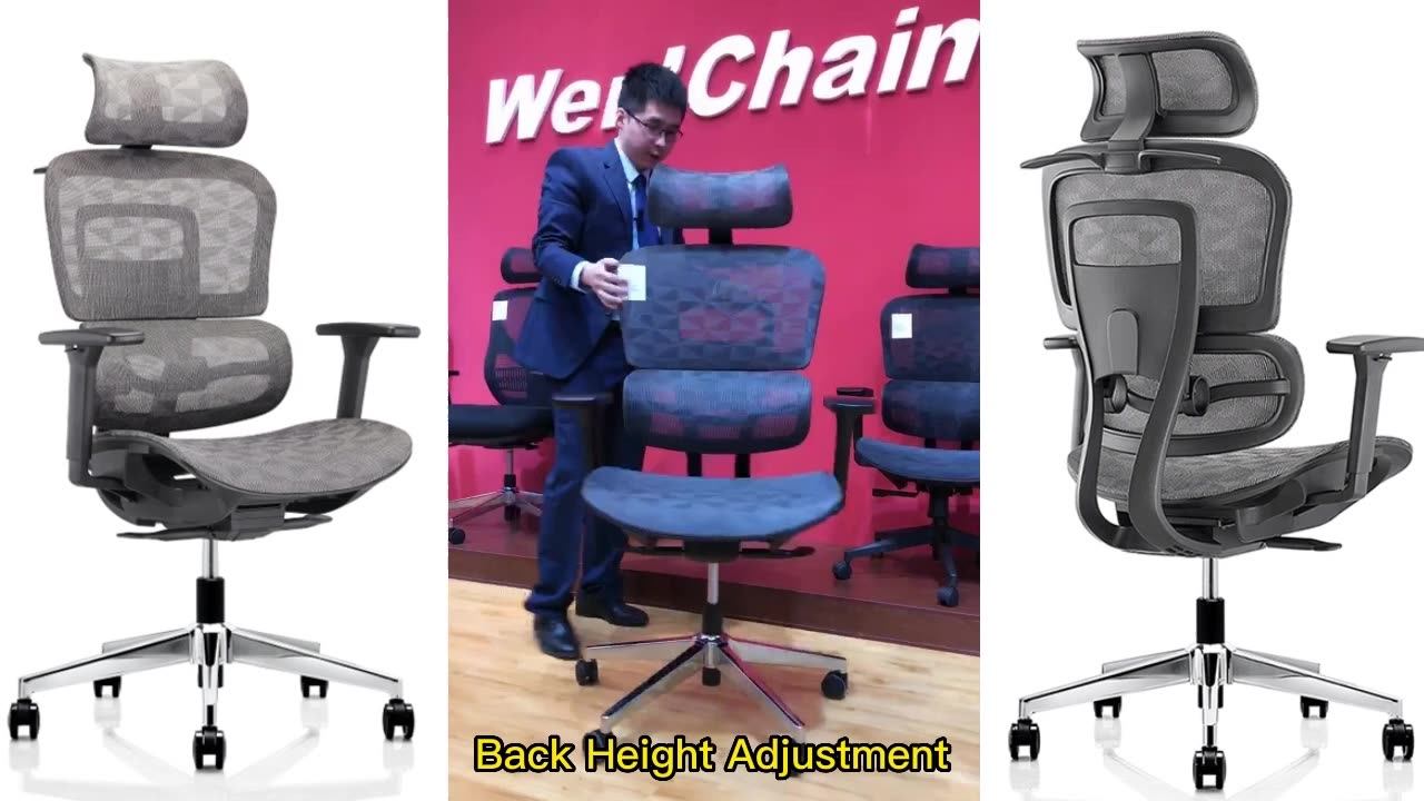 Adjustable Separate Lumbar Support Double Back Full Mesh Ergonomic ...