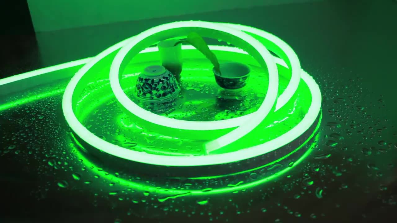 Dot Free Flexible Led Neon Rope 10x20mm Smd5050 Rgb Strip Tube 24v 120v ...