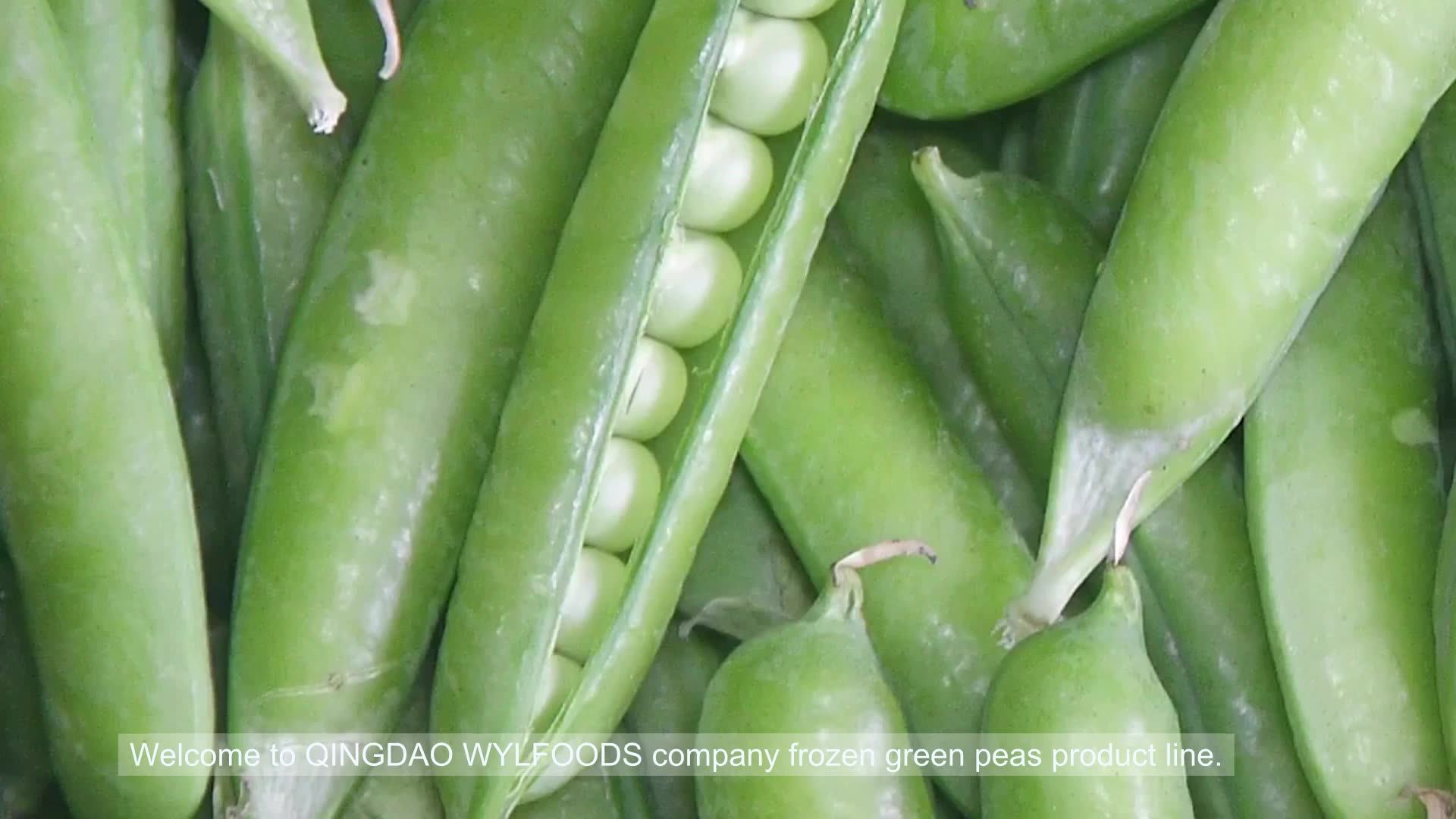 Premium Quality Frozen Green Peas Brands Affordable Frozen Green Peas ...